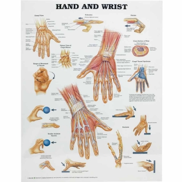 HiTech Therapy | South Africa’s Leading Supplier of Physiotherapy ...